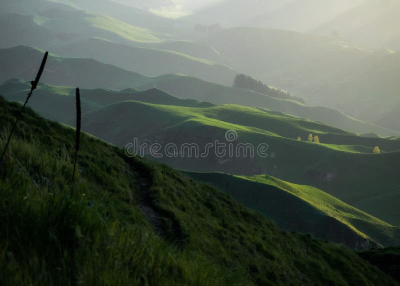 Wide Green Field and Trees in the Mountain Stock Image - Image of ...