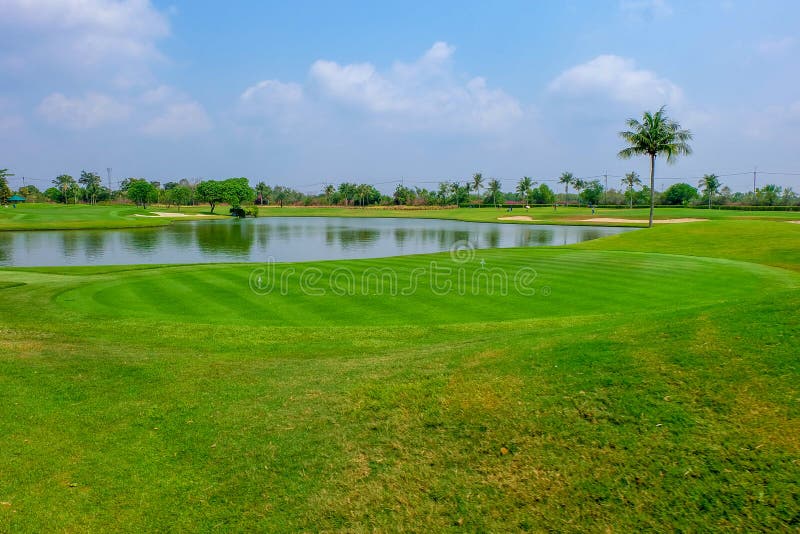 Wide green lawns stock photo. Image of game, land, landscaped - 73429526