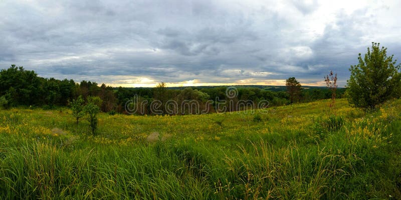 Wide green meadow stock photo. Image of wide, grass - 234277272