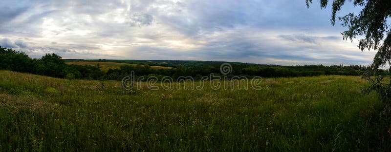 Wide green meadow stock photo. Image of wide, morning - 234277280