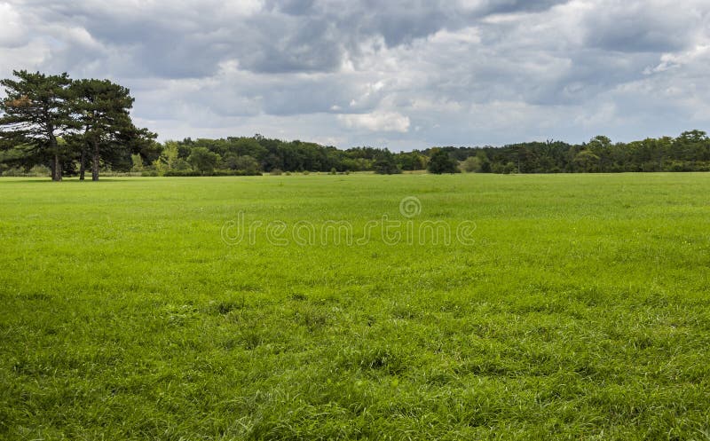 A wide green meadow stock photo. Image of farmland, garden - 249754528
