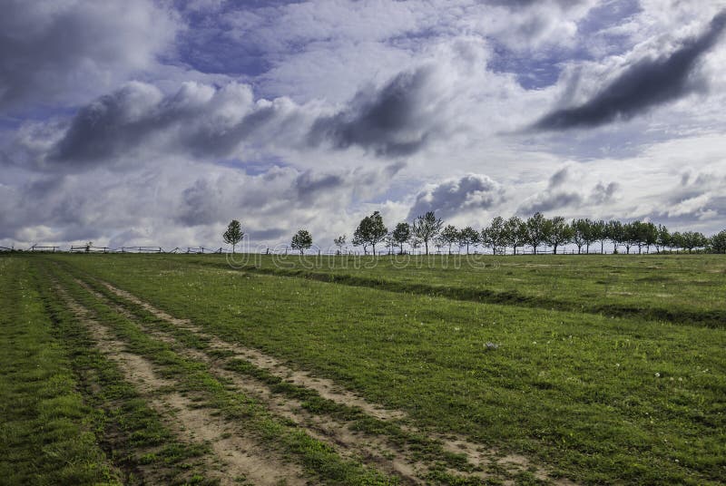 A wide green meadow stock photo. Image of growth, nature - 251545910