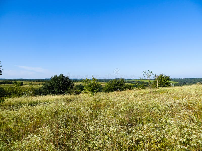 Wide green meadow stock photo. Image of landscape, green - 77755674