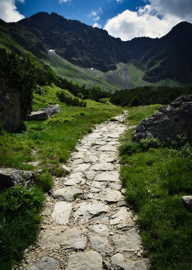Wide Hiking Trail in the Mountains Stock Image - Image of road, blue ...
