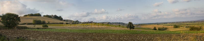 Australian bush stock photo. Image of australia, south - 19283828