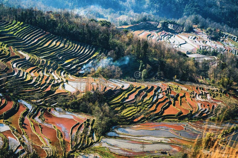Wide Landscape Featuring an Array of Rolling, Yuan Yang Terraces with ...