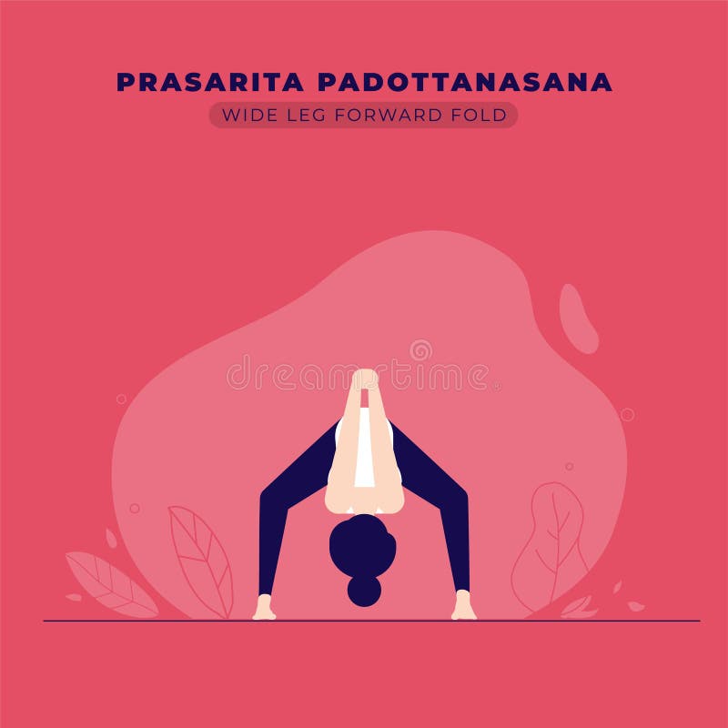 Wide Leg Forward Fold Yoga Pose Illustration Stock Vector ...