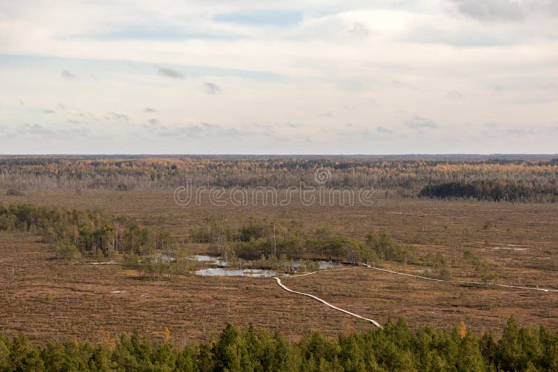 .a Wide Marsh with a Wooden Boardwalk Leading through the Marsh and a ...