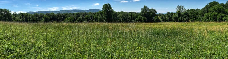 Wide Meadow Panorama with Distant Mountains Stock Photo - Image of wide ...