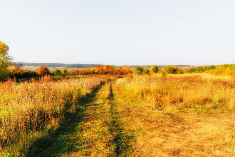 Wide meadow and blue sky stock image. Image of beautiful - 95690691