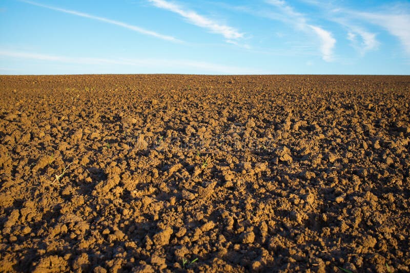 Wide Muddy Field with a Cloudy Blue Sky Stock Image - Image of country ...