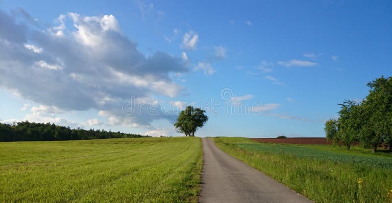 Wide Natural Landscape in Bright Green Colors Stock Image - Image of ...