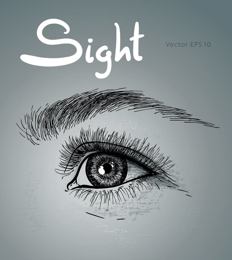 Hand-drawn Beautiful Female Eye Sketch Vector Illustration. Stock ...