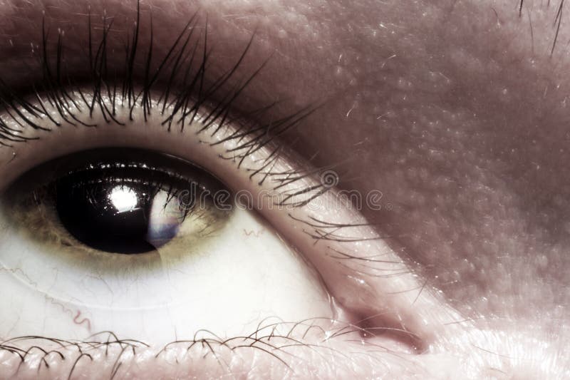 Human eye wide open stock image. Image of close, beautiful - 31368991