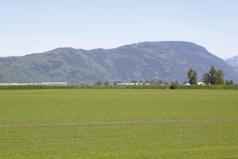 Wide Open Farmland in the Fraser Valley Stock Photo - Image of land ...
