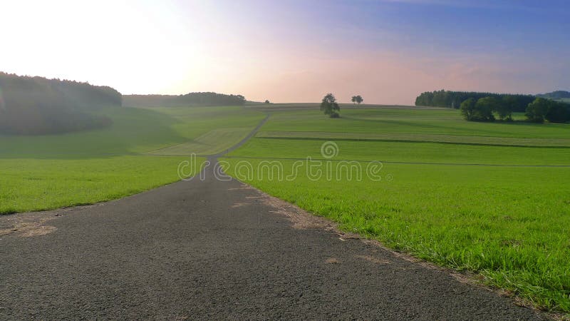 Wide Open Field Picture. Image: 6360132