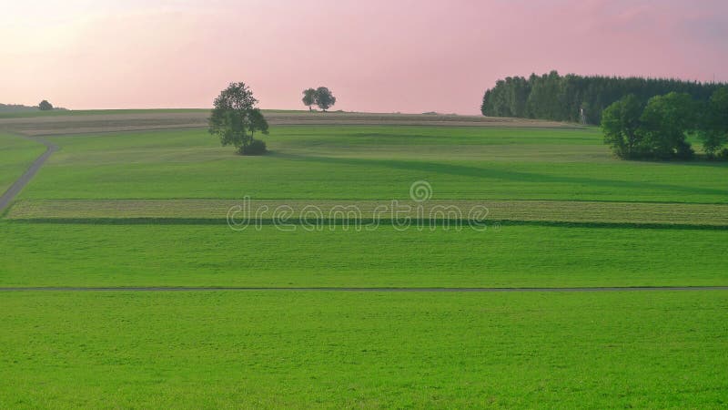 Wide open Field stock image. Image of white, field, rural - 6360147