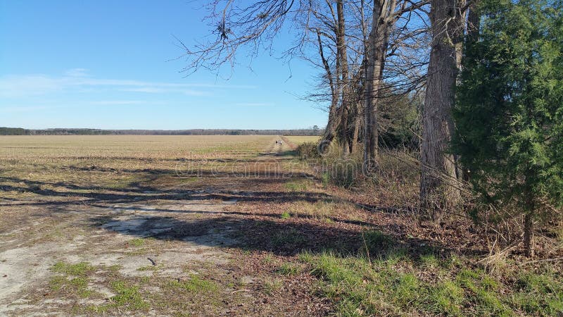Wide open field stock photo. Image of skies, field, open - 111153074
