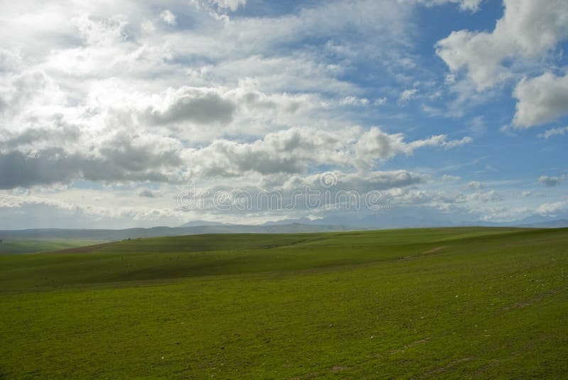 Wide Open Field with Clear Skies Stock Photo - Image of countryside ...