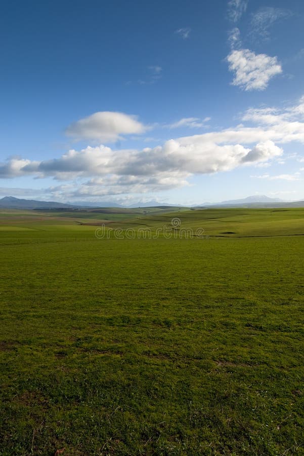 Wide Open Field with Clear Skies Stock Image - Image of outdoors ...