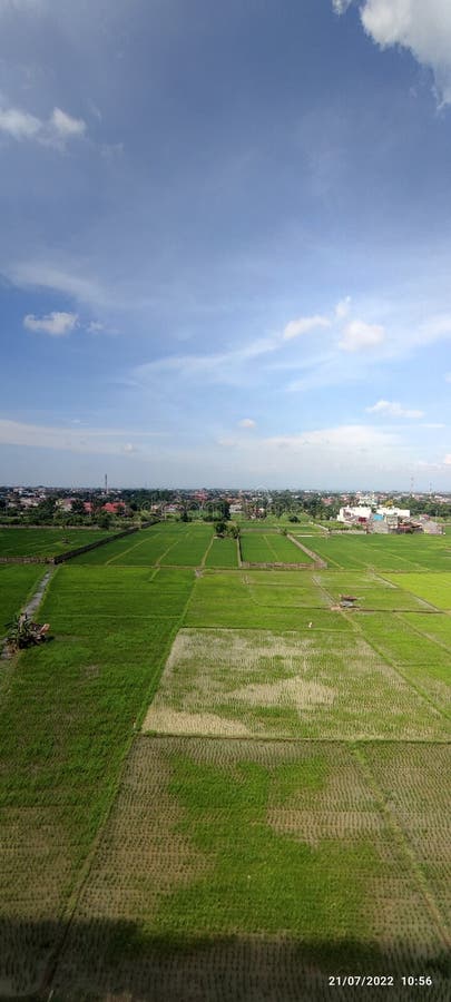 Wide Open Field with Green and Blue Color Stock Image - Image of ...