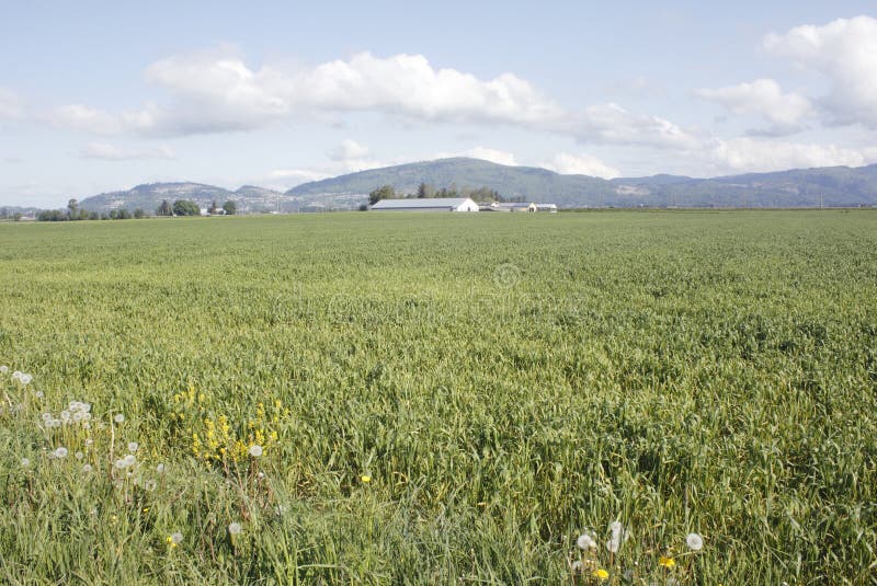 Wide Open Plain stock photo. Image of summer, farm, season - 40587994