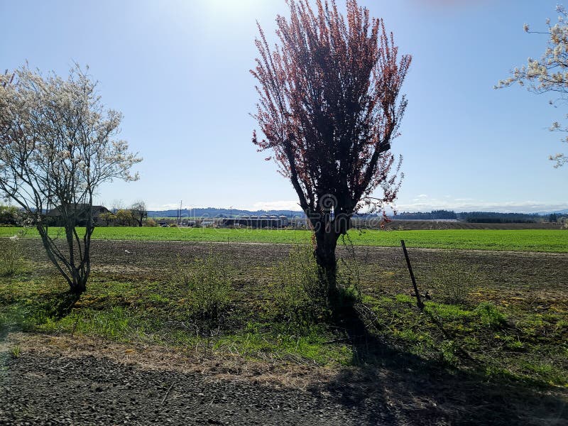 Wide open spaces stock image. Image of crop, hill, plant - 233001241