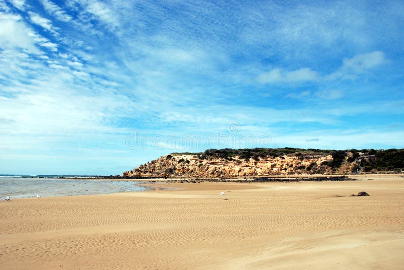 Wide Open Spaces at the Beach Stock Photo - Image of fluffy, beach ...