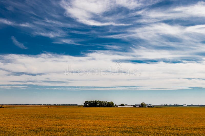 Wide Open Spaces. Rockyview County,Alberta,Canada Stock Image - Image ...