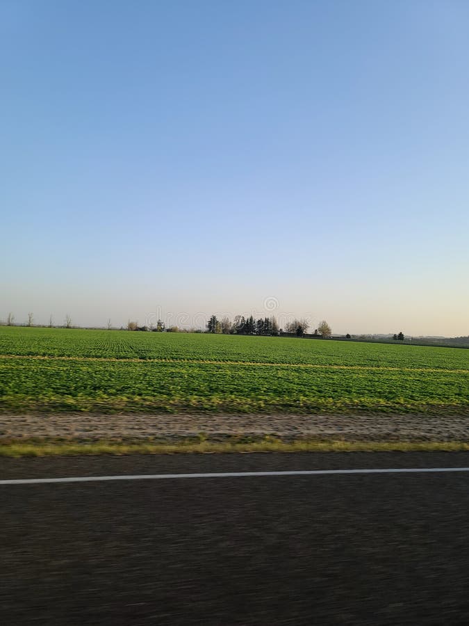 Wide open spaces stock photo. Image of wind, crop, hill - 229206450