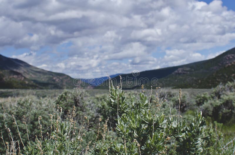 A Wide Open View of the Utah Landscape Stock Image - Image of hills ...
