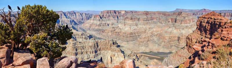 Wide Panoramic View of Grand Canyon Stock Photo - Image of grand ...