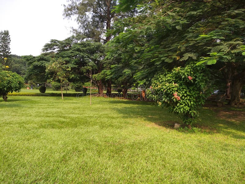 Wide park stock image. Image of park, walking, good - 128715929