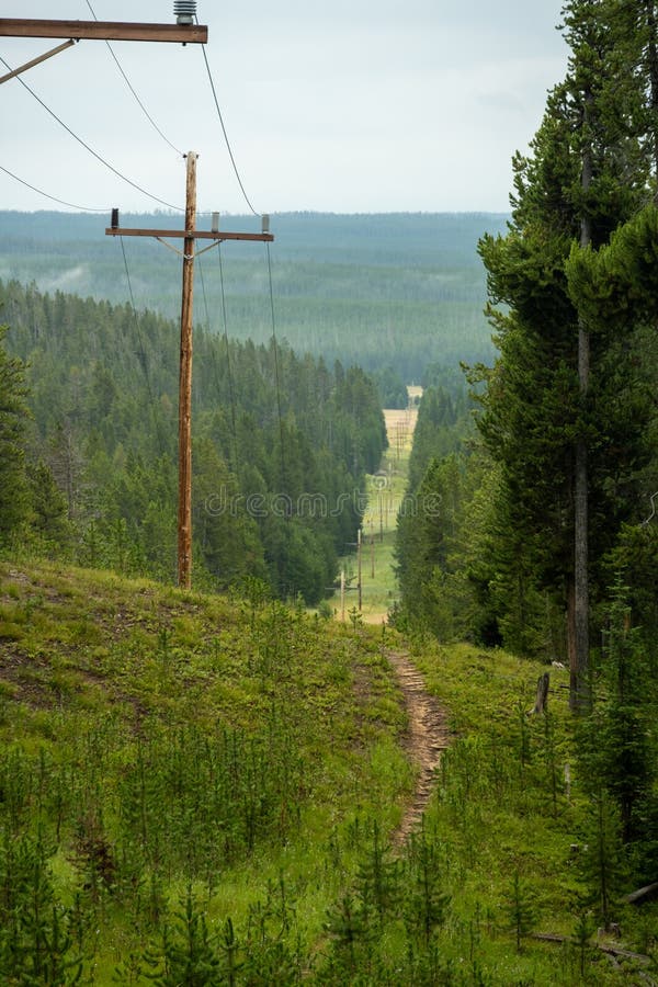 Wide Path for Electrical Lines Cut into Yellowstone Forest Stock Image ...