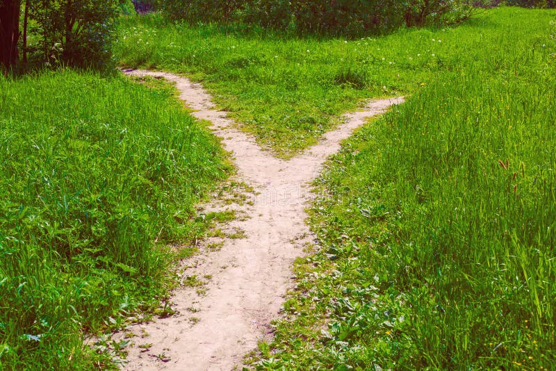 The Wide Path in the Grass Splits into Two Narrow Paths Stock Photo ...
