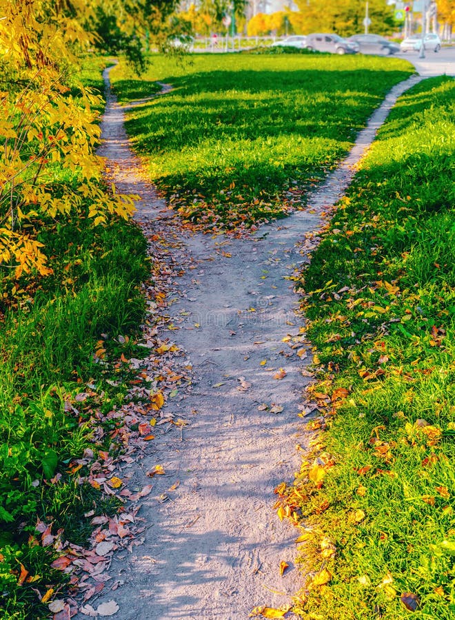 Diverging Paths stock image. Image of junction, pavement - 34283065