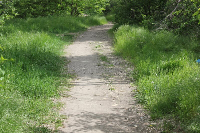 Wide Path with Green Grass from Both Sides Stock Photo - Image of soil ...