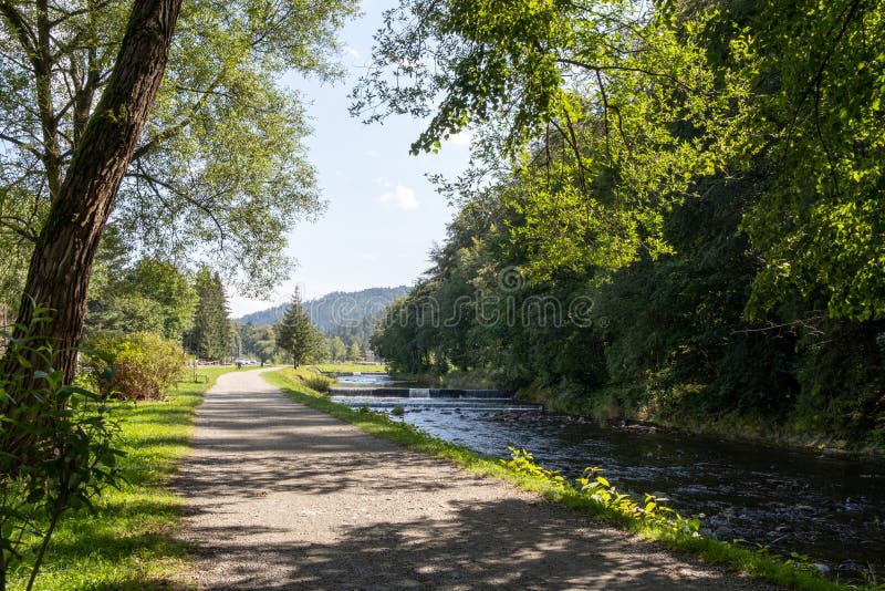 Wide Path Next To River in Forest Stock Photo - Image of river ...