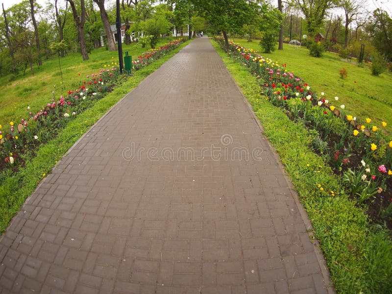 A wide path stock image. Image of path, wide, mango - 121861653
