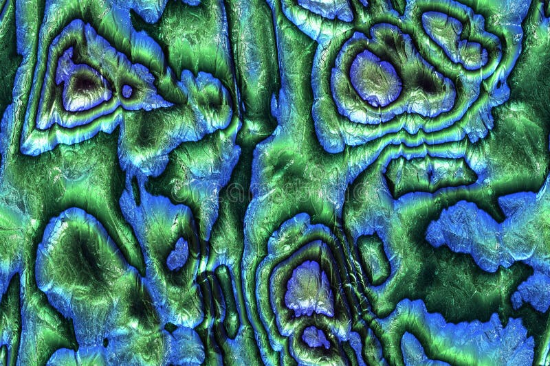 Wide Repeating Sea Nacre Pattern Stock Illustration - Illustration of ...