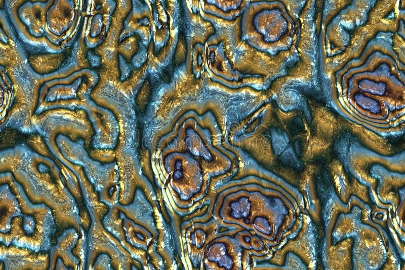 Wide Repeating Sea Nacre Pattern Stock Illustration - Illustration of ...