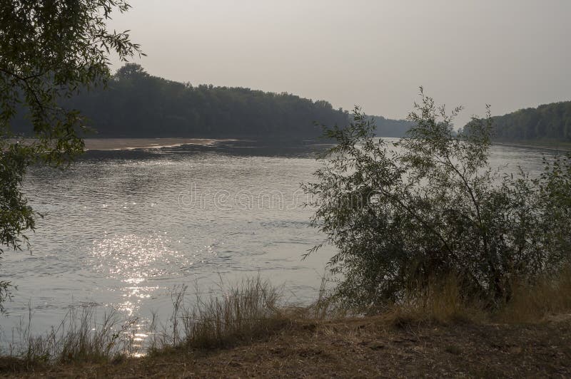 Wide River Flowing Across Green Forest. Fall. Evening. Reflections of ...