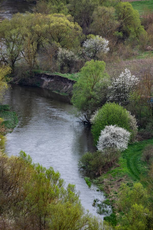 Wide River in Green Banks Overgrown with Woods Stock Photo - Image of ...