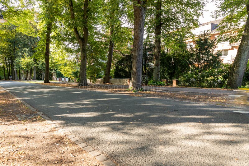 Wide Road Leading through a Park with Trees Stock Photo - Image of ...