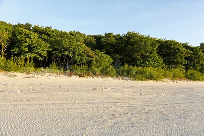 Wide sandy beach stock image. Image of europe, landscapes - 123377219