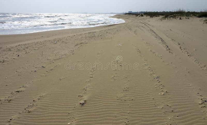 Wide Sandy Beach, Waves with White Foam Roll on the Shore Stock Image ...