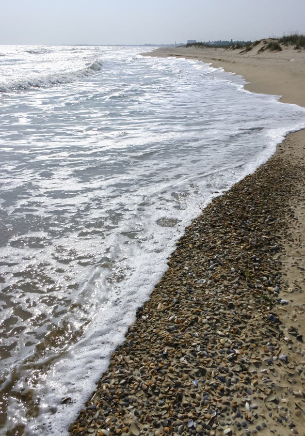 Wide Sandy Beach, Waves with White Foam Roll on the Shore Stock Image ...