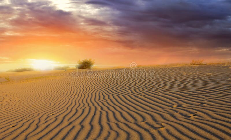 Sunset in the desert stock image. Image of extensive - 10856663