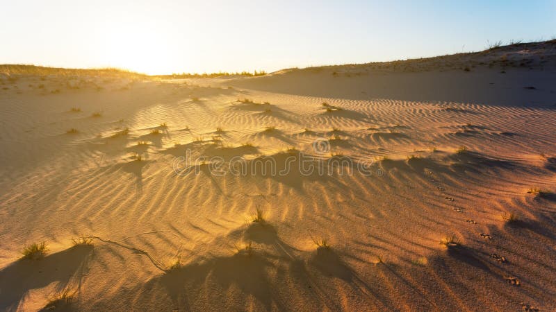 Sandy desert at the sunset stock photo. Image of grainy - 165315374
