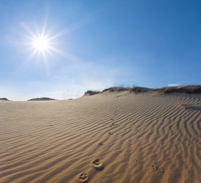 Sandy Desert Under a Hot Sparkle Sun Stock Photo - Image of dune ...